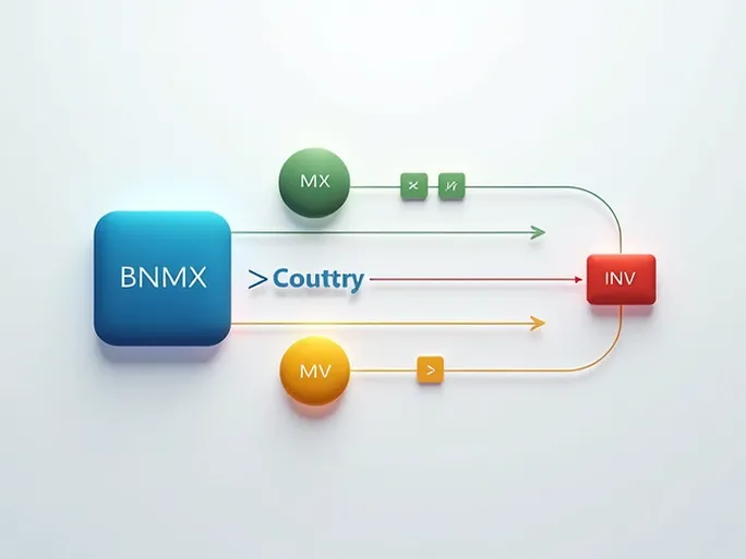 如何安全有效地使用BNMXMXMMINV进行国际汇款